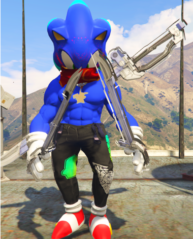 Sonic Ninja – ZonZo Mods